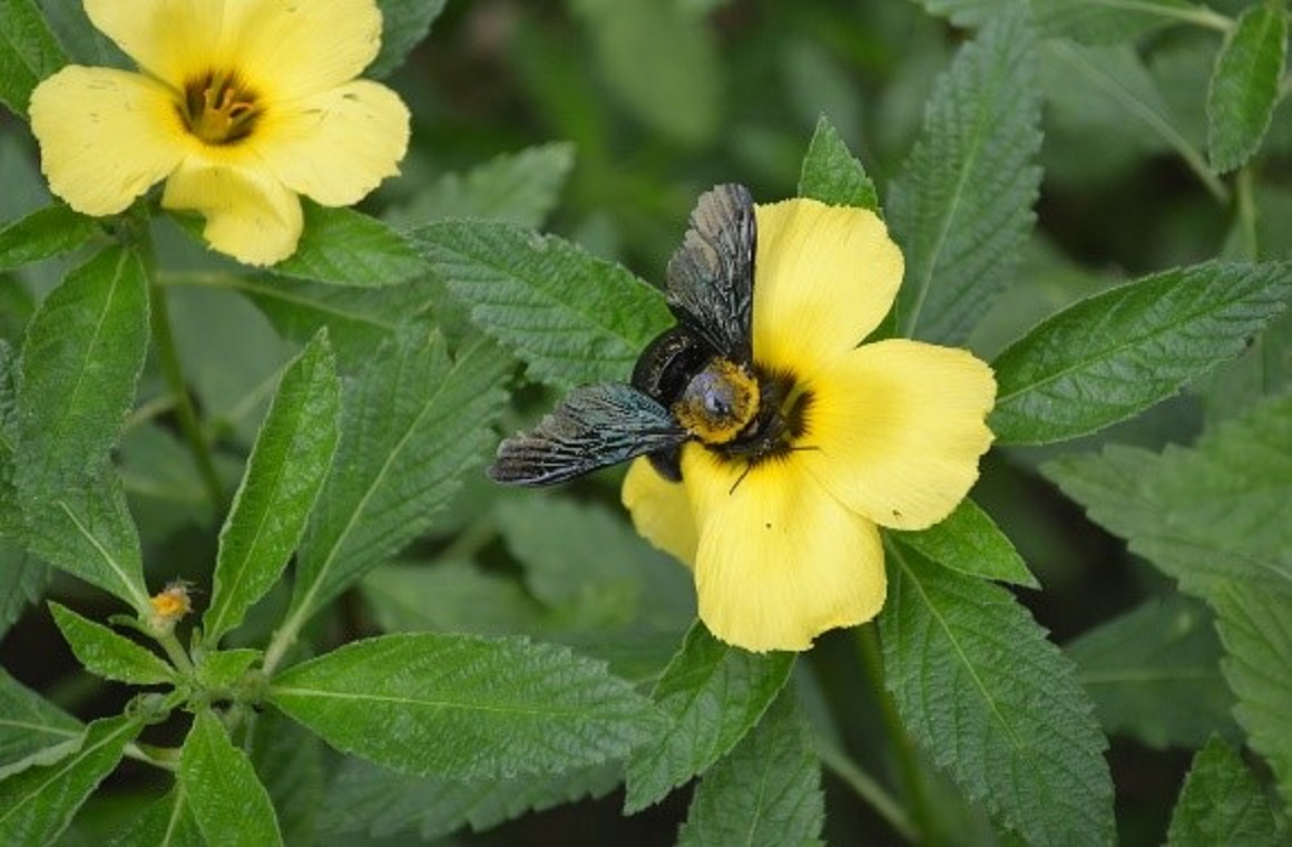 Environmental Initiatives | Canon Machinery Inc.